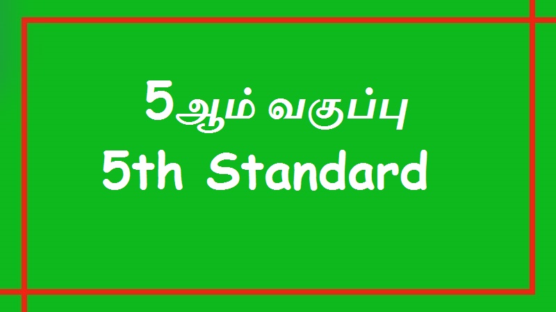 5 TN 5th Standard 5 TN 5th Standard
