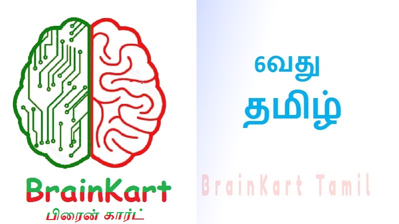 6 TN 6th Tamil 6 6th Standard English And 