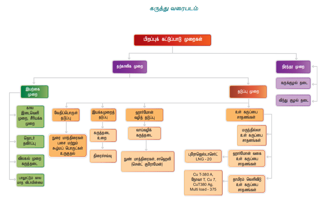 Reproductive Health Zoology In Tamil Reproductive Health Zoology In Tamil