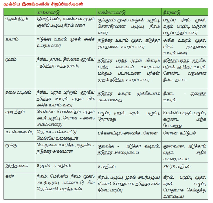 இனங்கள் - இனக்குழு, மதங்களின் வகைகள் | Races - Four broad groups ...